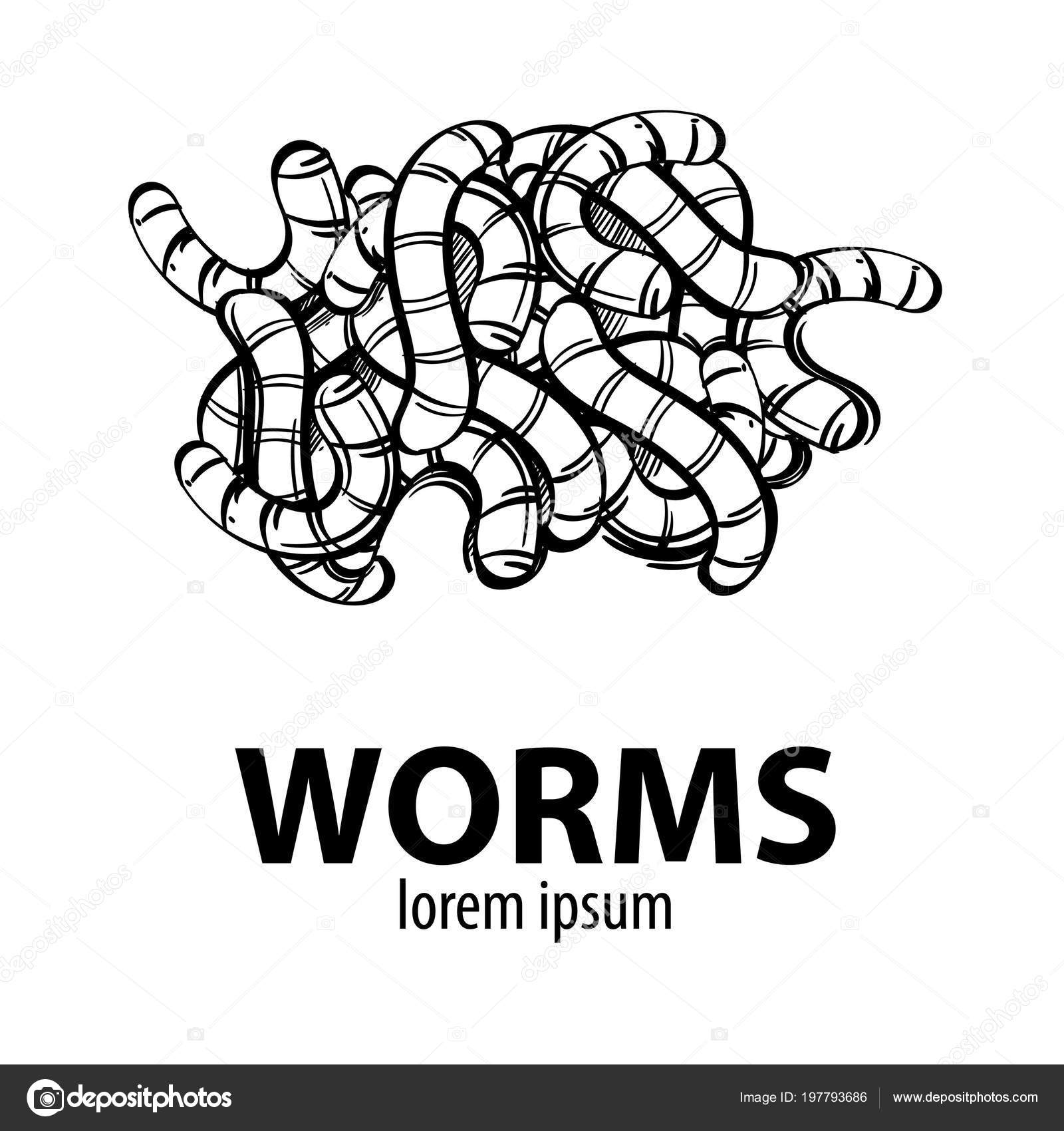 Worms Vector Illustration Isolated White Background Stock Vector by ...