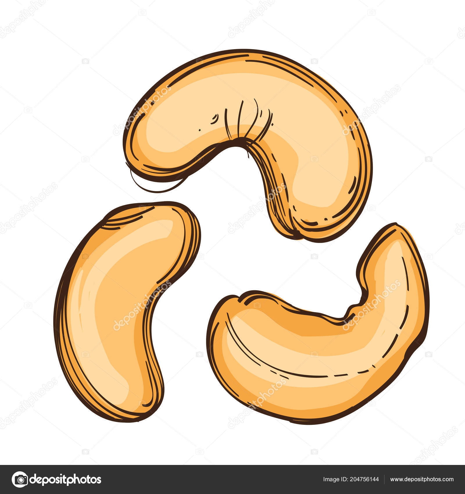 Cashew Nuts Isolated White Background Stock Vector by ©filkusto 204756144