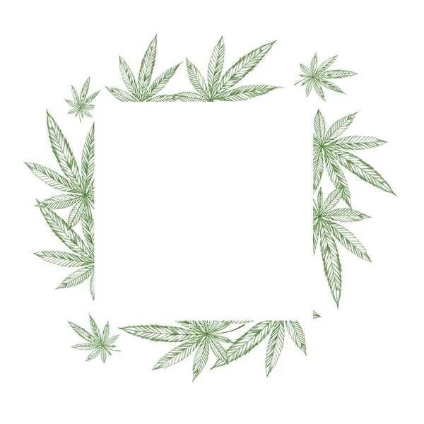 Marijuana Frame Cultivation Culture Cannabis Using Stock Vector Image ...