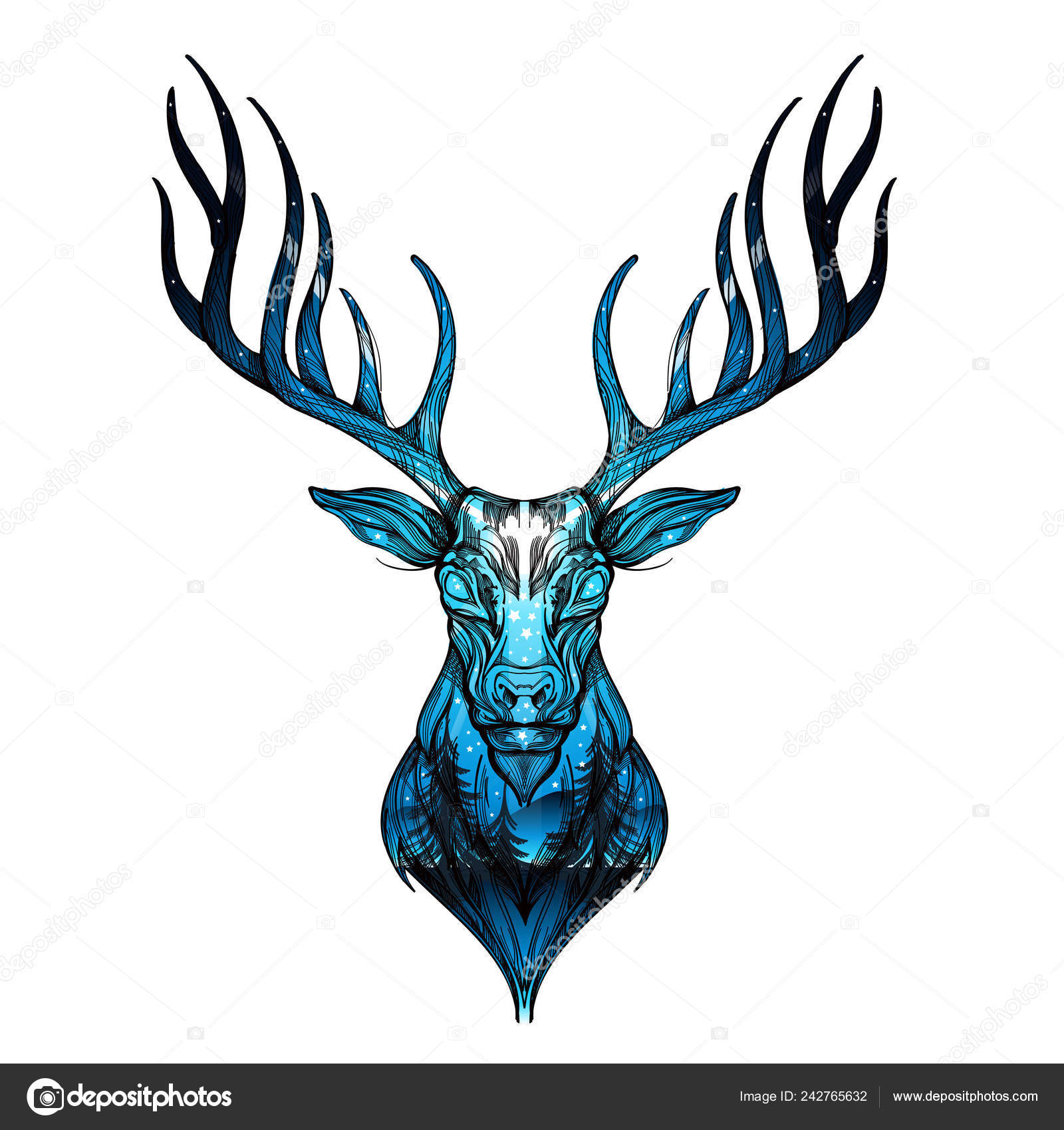 Whitetail Hjort Tegning