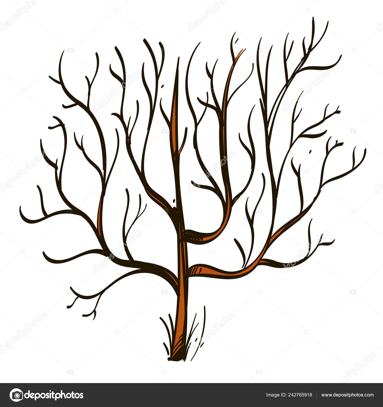 Barren Tree Drawing