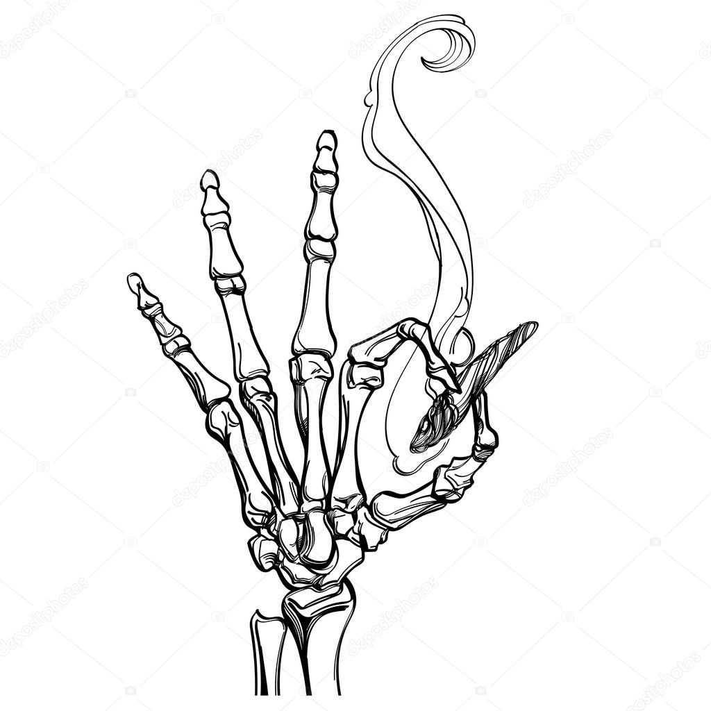 Disegno Mano Scheletro Semplice Astratto Lunghezza Intera Umano