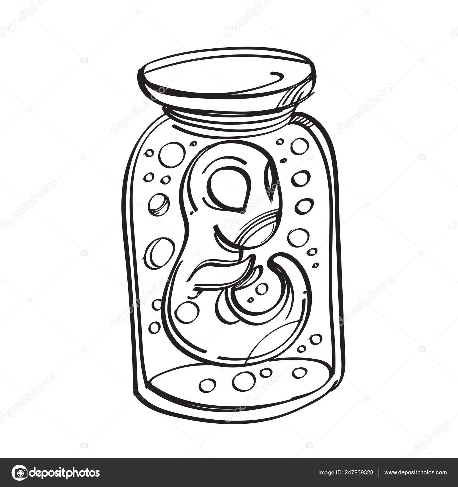Animal Embryo Clipart