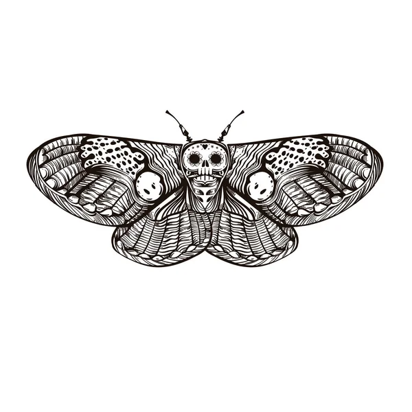 7,436 Moth Stock Illustrations | Depositphotos