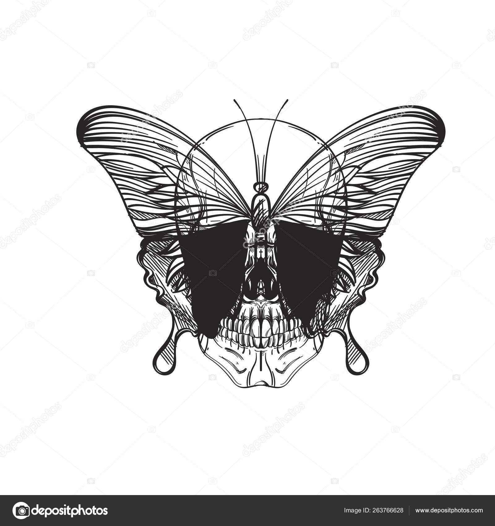 Skull with butterfly in linear style. Stock Vector by ©filkusto 263766628