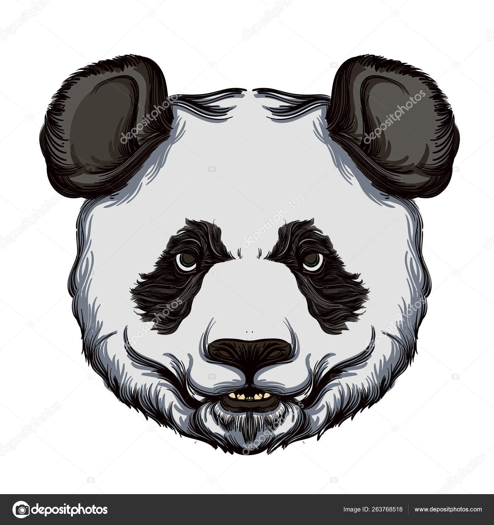 Angry Panda