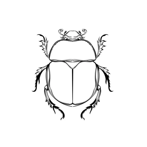 Scarab Drawing
