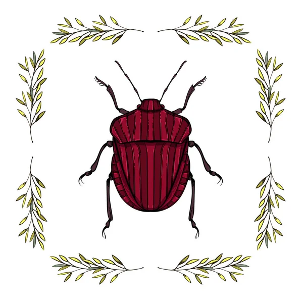 Chitin set Vector Art Stock Images | Depositphotos