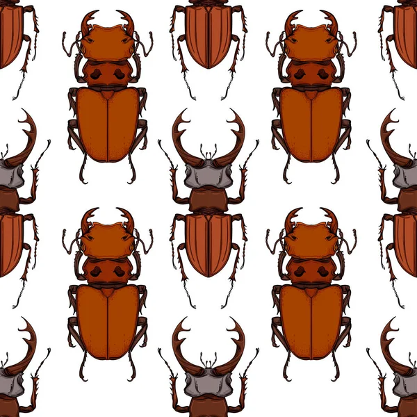 Chitin set Vector Art Stock Images | Depositphotos