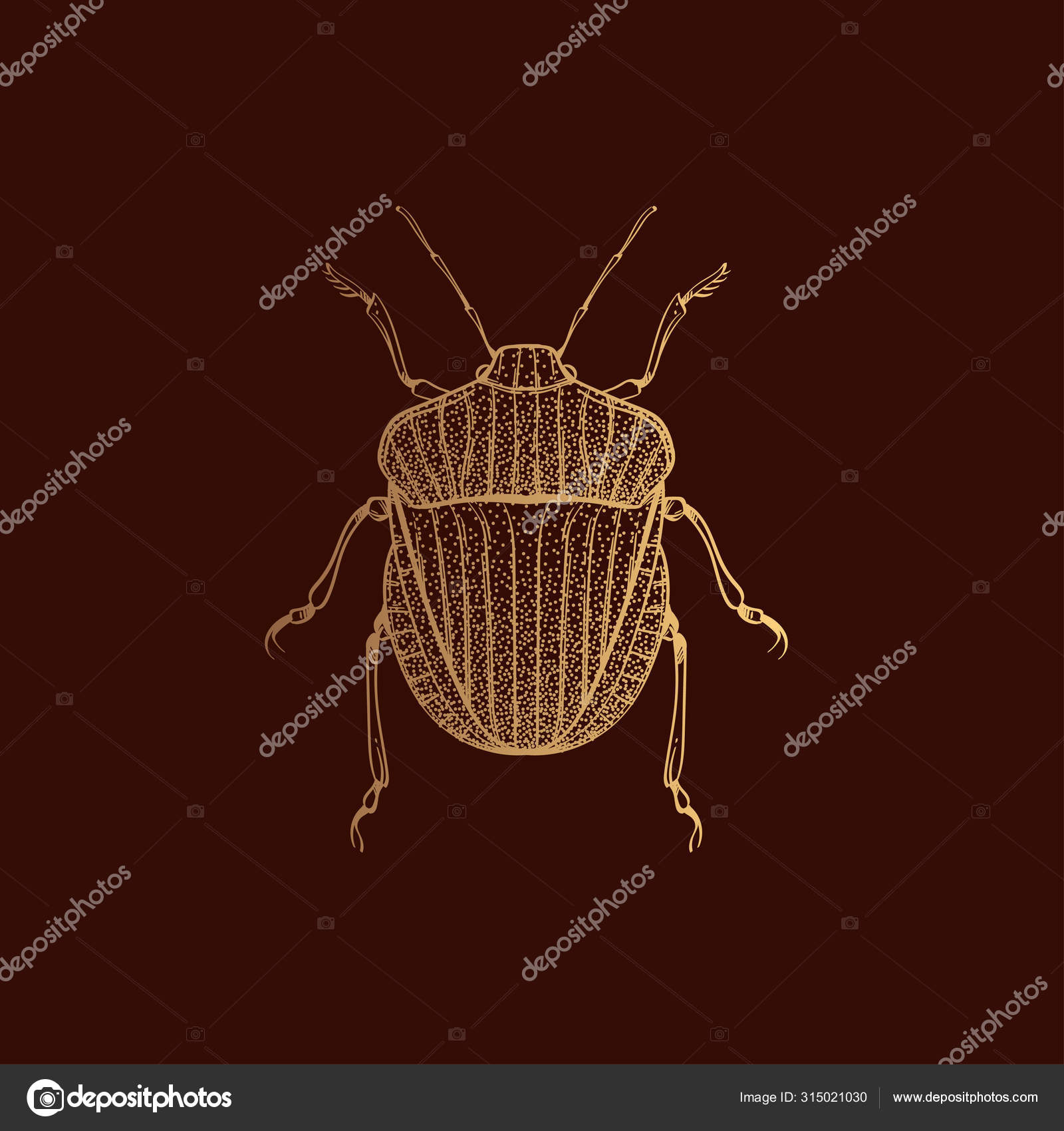 Insect golden collection, line art, vector. Stock Vector by ©filkusto ...