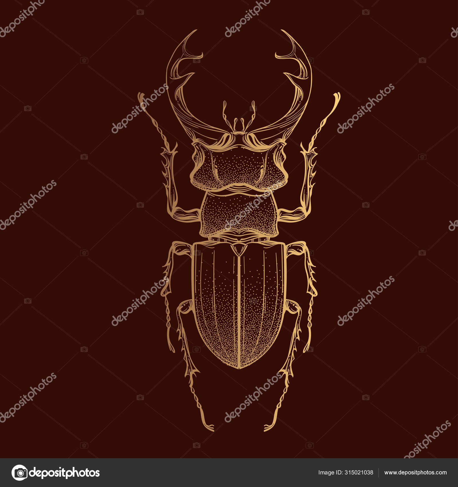 Insect golden collection, line art, vector. Stock Vector Image by ...