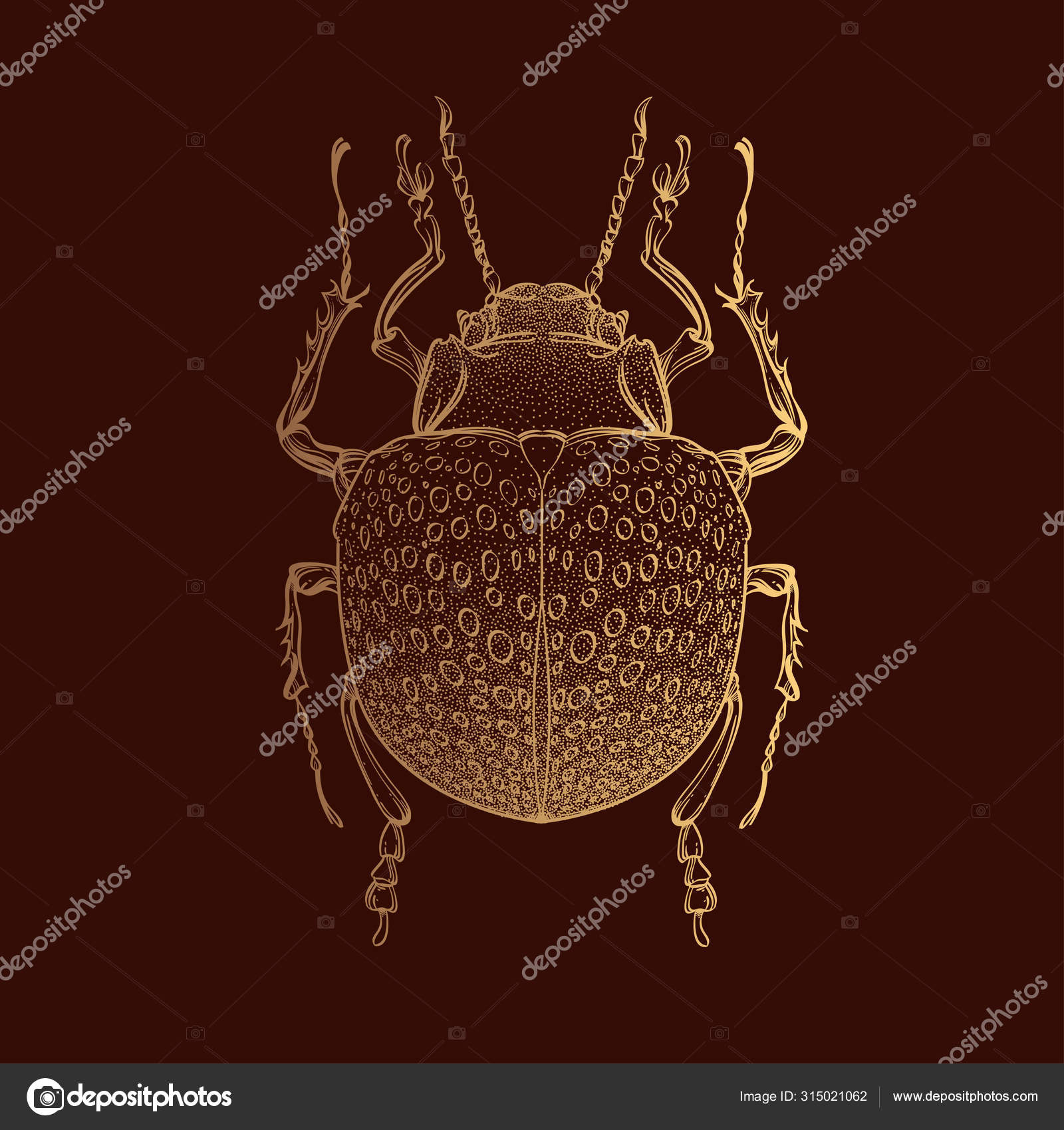 Insect golden collection, line art, vector. Stock Vector by ©filkusto ...