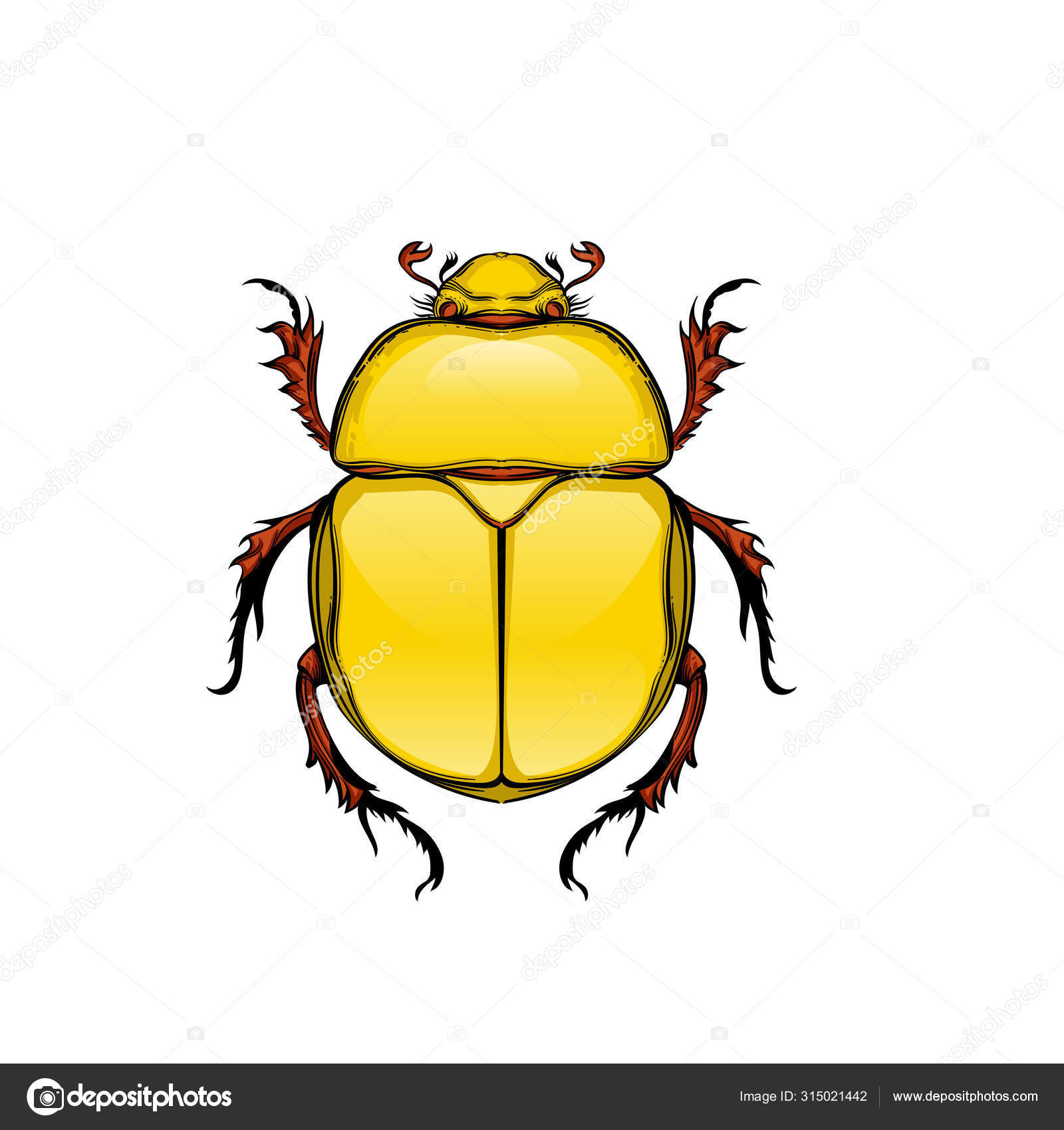 Collection de couleurs d'insectes, art linéaire, vecteur . Vecteur par ...