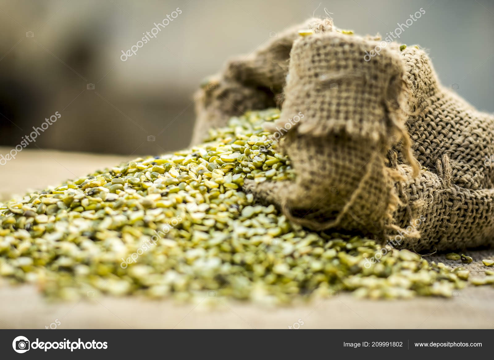 Split Green Gram Moong Dal Vigna Radiata Coming Out Gunny — Stock Photo ...