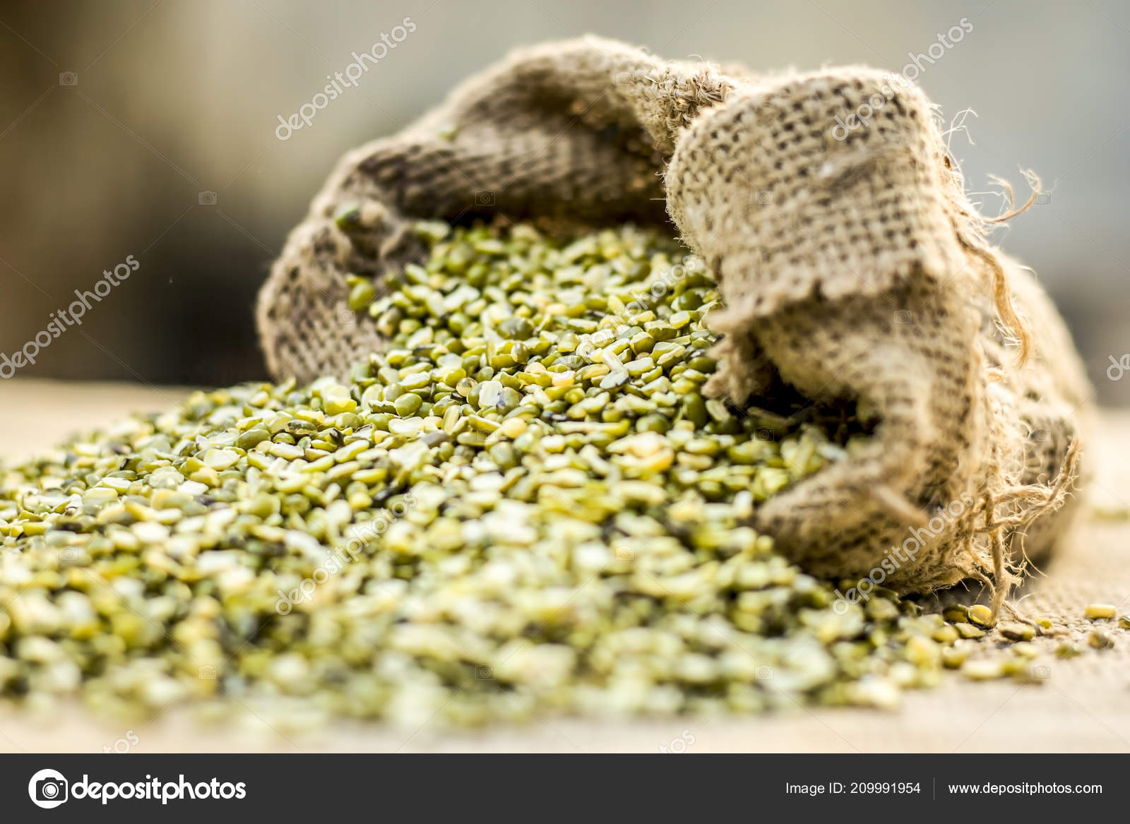 Split Green Gram Moong Dal Vigna Radiata Coming Out Gunny — Stock Photo ...
