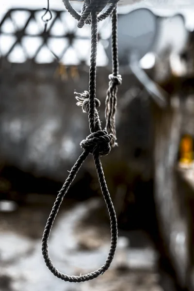 Close Hangman Knot Hanging Line — Stock Photo © mirzamlk #242812218