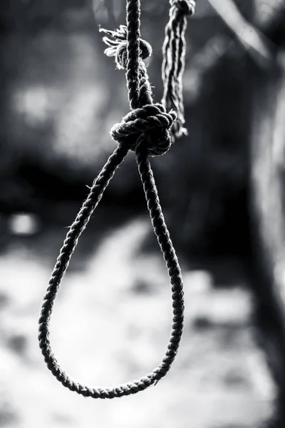 Close Hangman Knot Hanging Line — Stock Photo © mirzamlk #242812218