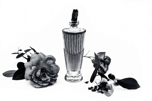 Broken perfume bottle Stock Photos, Royalty Free Broken perfume bottle ...