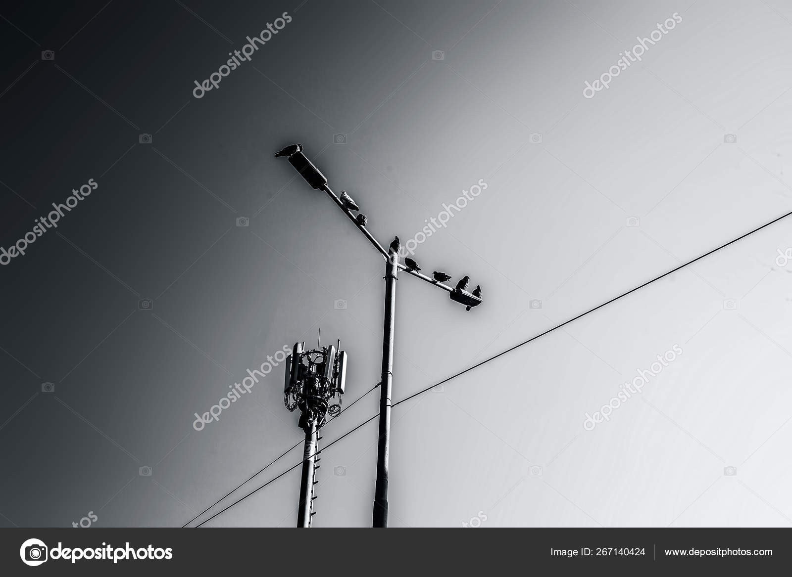 Street Lights Isolated Abstract Background — Stock Photo © mirzamlk ...