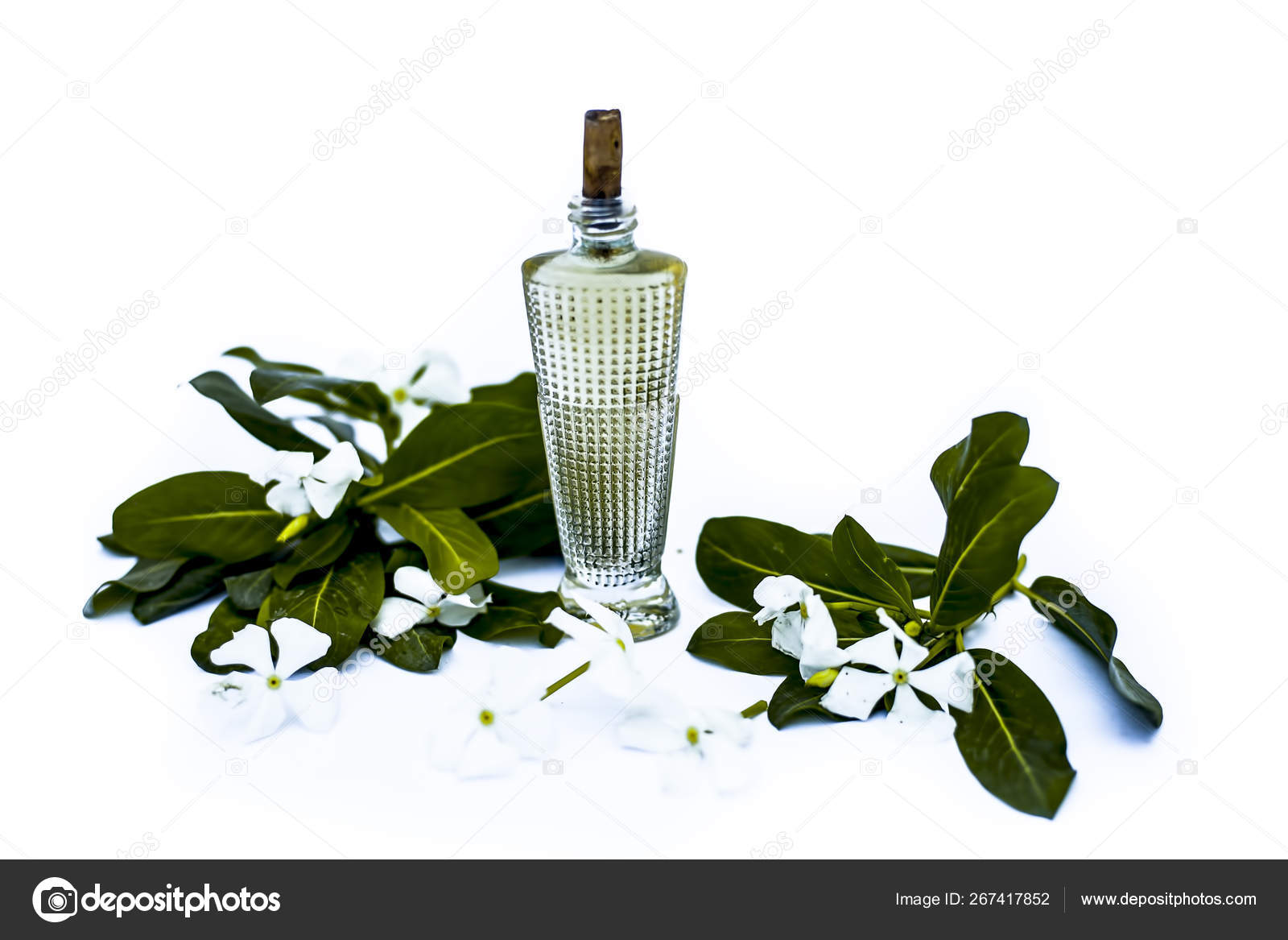 Perfume Bottle Ingredients Isolated White Background — Stock Photo ...