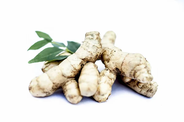 Curcuma amada Stock Photos, Royalty Free Curcuma amada Images ...