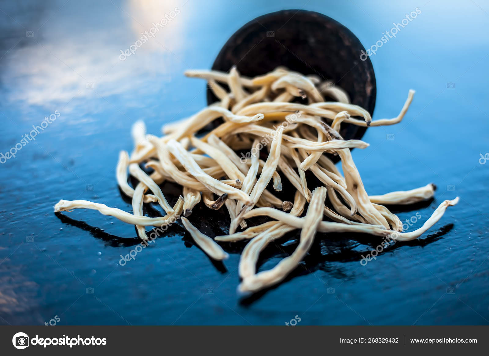 Popular Indian Asian Ayurvedic Organic Herb Musli Safed Moosli ...