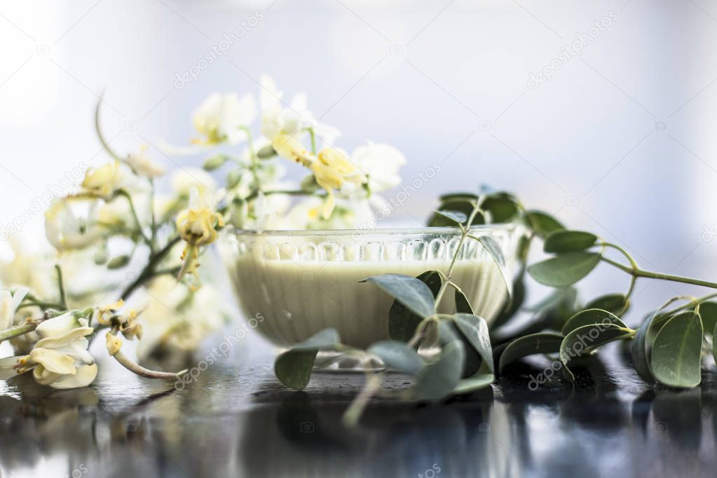 Pasta Ayurevidic hecha de Moringa concanensis Nimmo también conocido ...