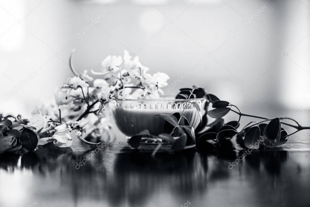 Pasta Ayurevidic hecha de Moringa concanensis Nimmo también conocido ...