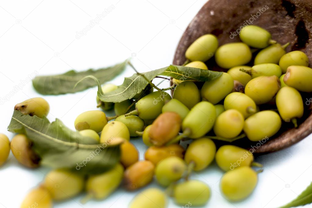Fruta de neem o fruta nim o fruta lila india en un tazón de barro ...