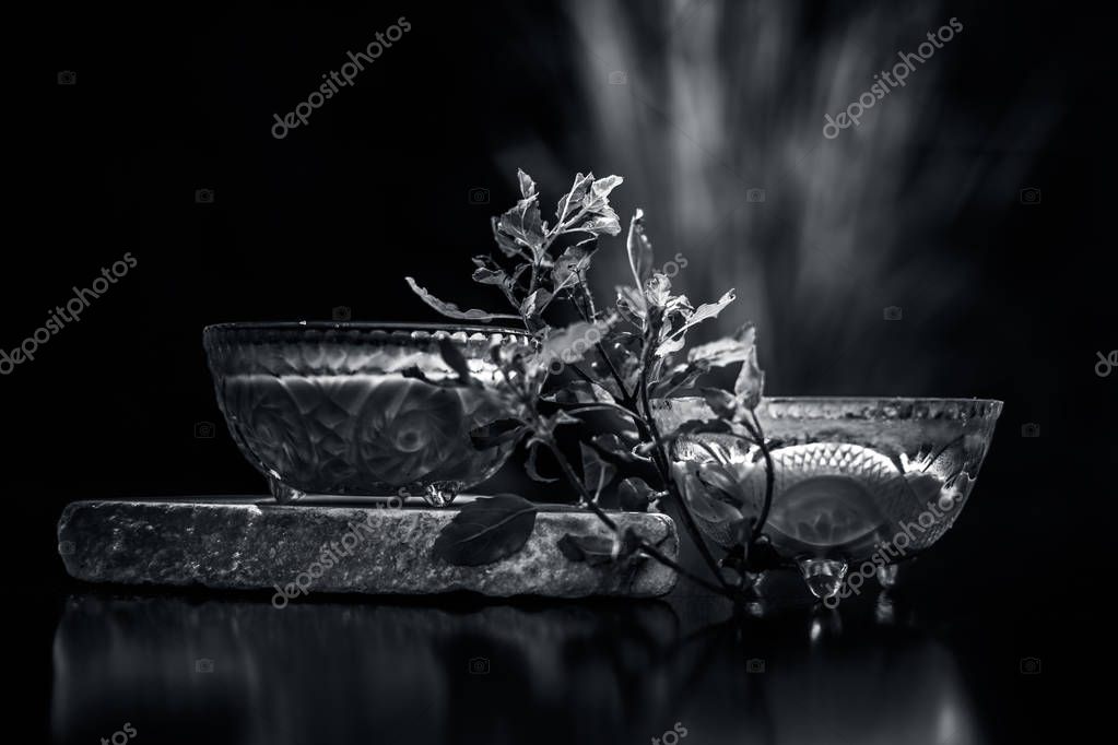 Mascarilla facial herbaria y ayurvédica de hojas de tul o albahaca en ...