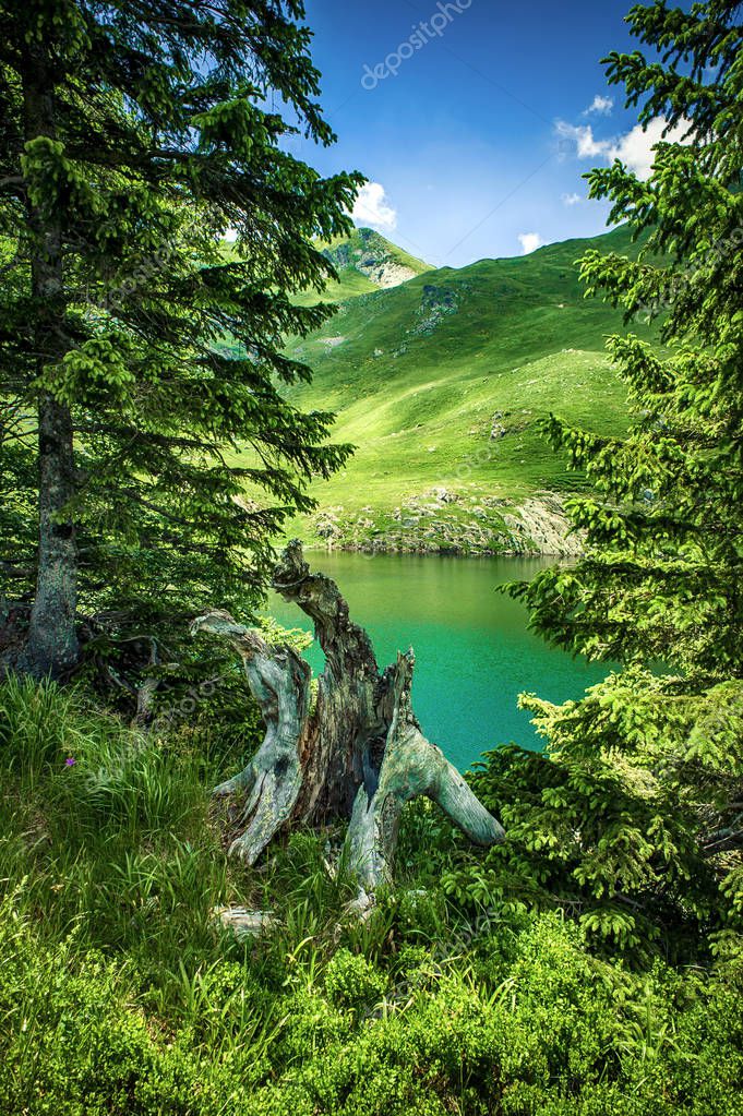 Vista panorámica de la hermosa cordillera con lago cristalino 2023