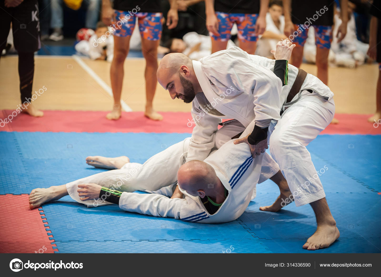 Judo Fighting Techniques