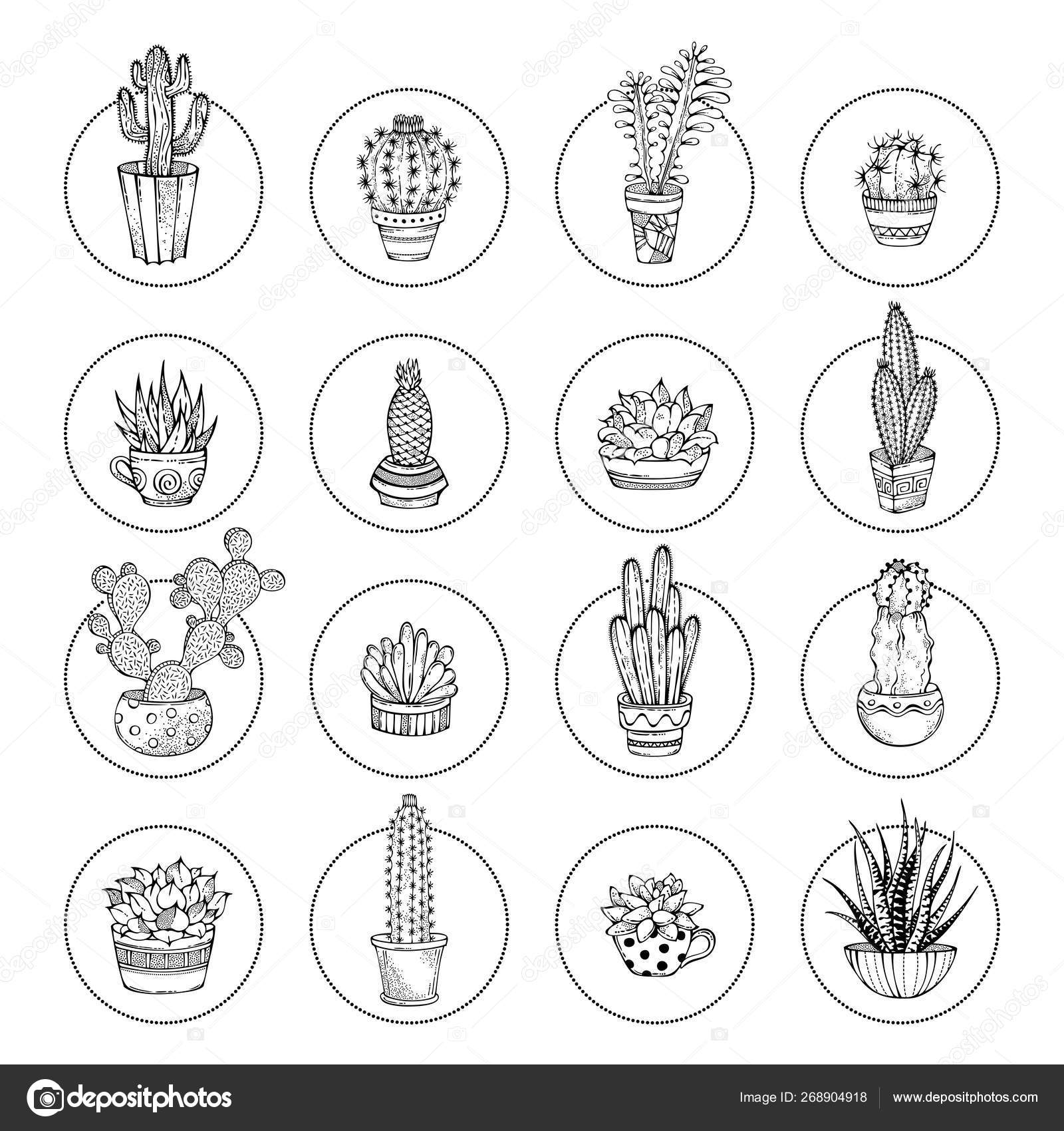 Vector doodles cacti and succulent icon set. Stock Vector by ©Maljuk ...