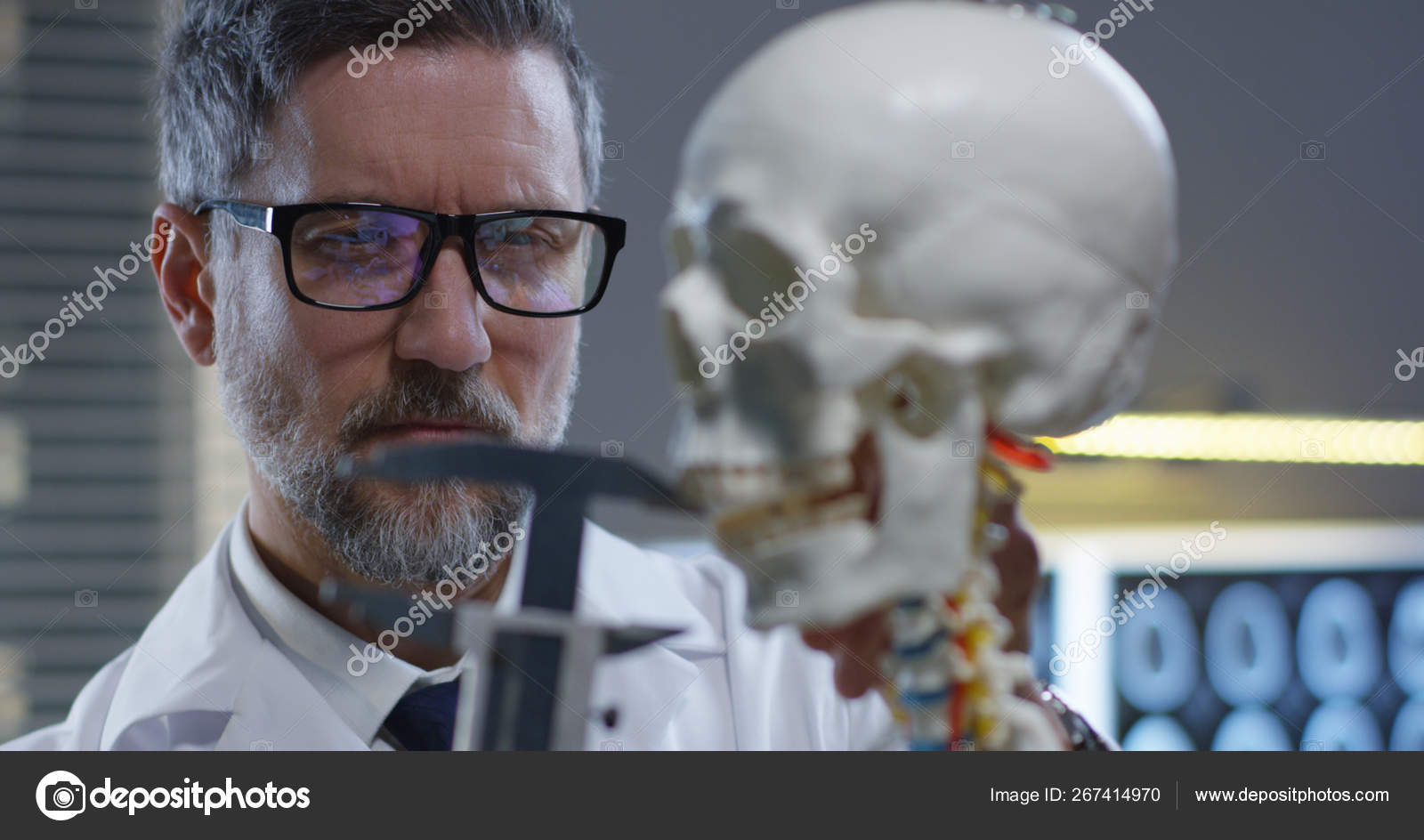 Doctor measuring jaw of skull Stock Photo by ©EvgeniyShkolenko 267414970