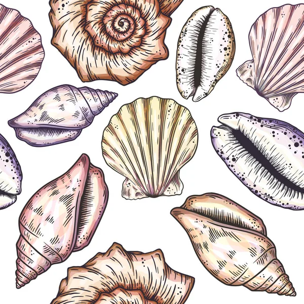 23,537,630 Shells waterpaint Vector Images | Depositphotos