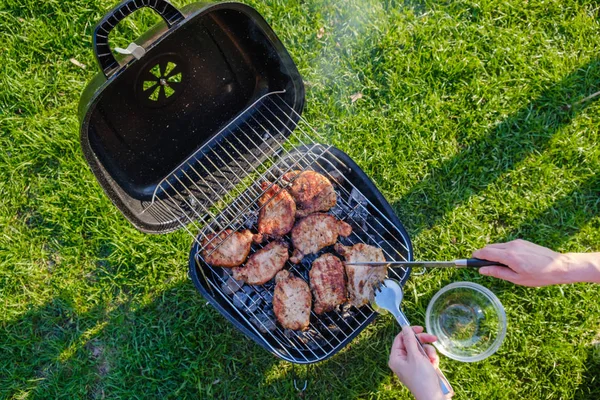 Barbecue grill with various kinds of meat. Placed on grass lawn, top ...