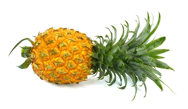 Fotos de Ananas strom, Imagens de Ananas strom sem royalties ...