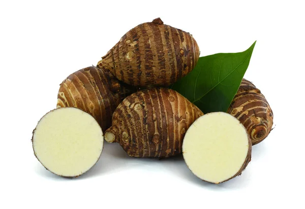 Japanese arrowroot Stock Photos, Royalty Free Japanese arrowroot Images ...