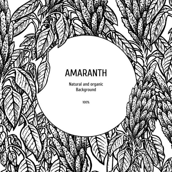 Amaranth line art Vector Art Stock Images | Depositphotos