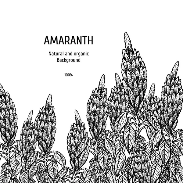 Amaranth line art Vector Art Stock Images | Depositphotos