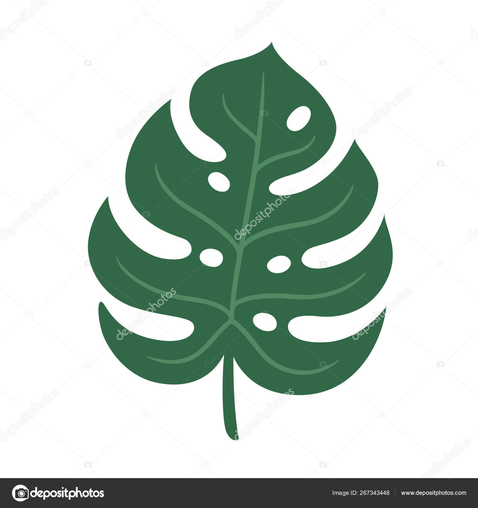 Dibujo de hoja de Monstera Vector de stock #267343448 de ©Sudowoodo