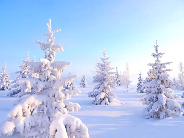 Beautiful snow landscape Stock Photos, Royalty Free Beautiful snow ...