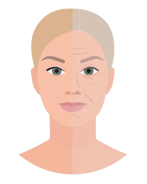 Old Young Face Cosmetology Age Vector Illustration Stock Vector Image ...