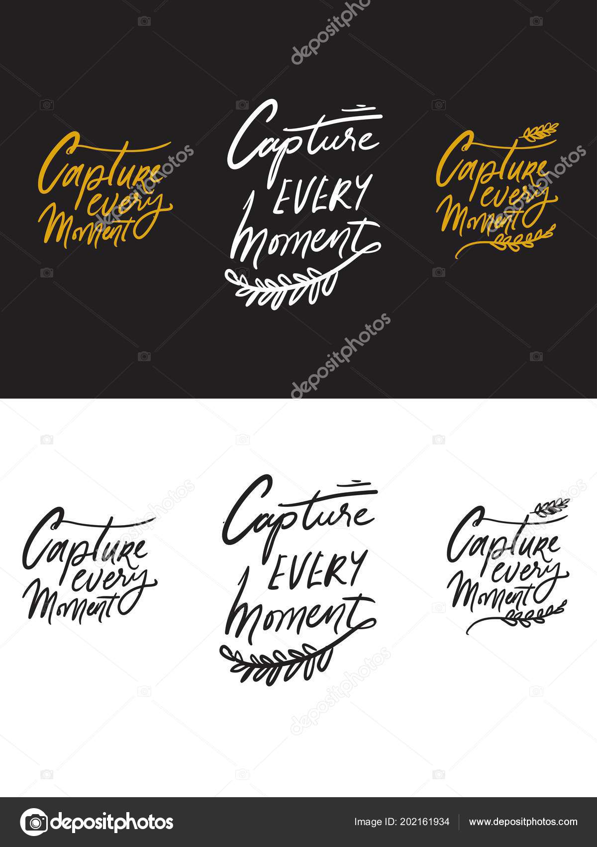 Capture the moment. Hand lettering motivation quote for your design ...