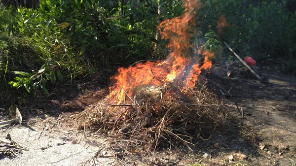 Cane fire sparks Stock Photos, Royalty Free Cane fire sparks Images ...