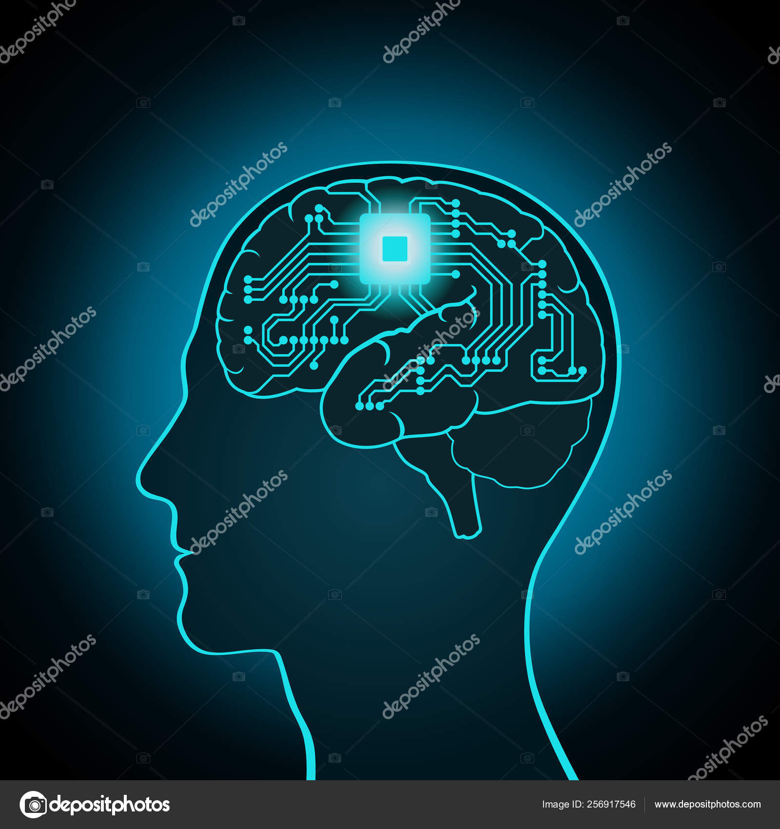 Hjernevektor Din Forunderlige Hjerne Biotech Academy