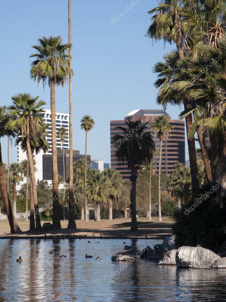 Vista de los edificios del centro de la ciudad de Phoenix desde un lago ...