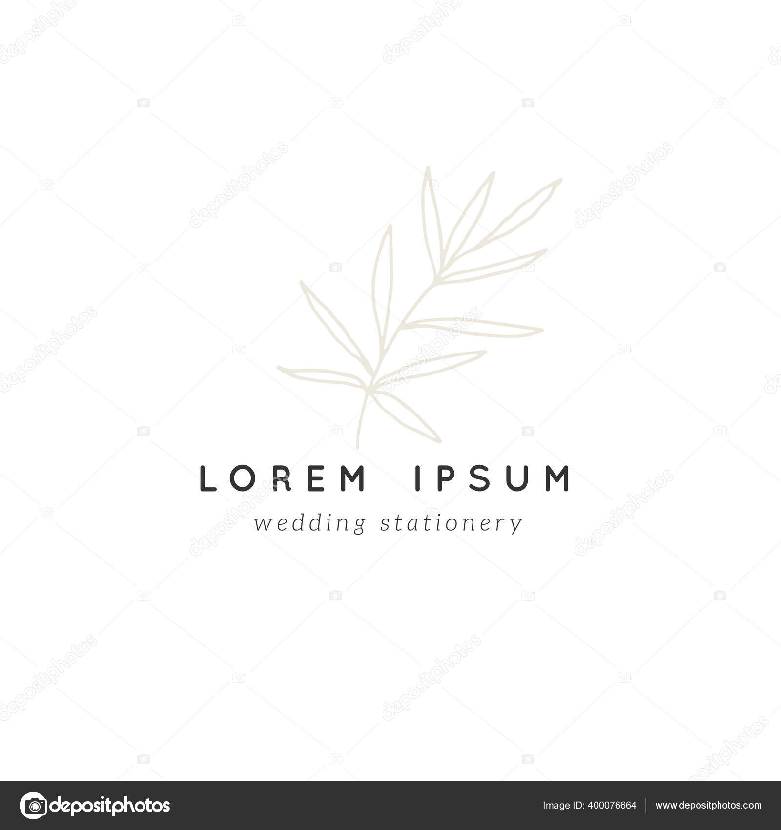 A branch with leaves. Vector hand drawn simple floral logo template ...