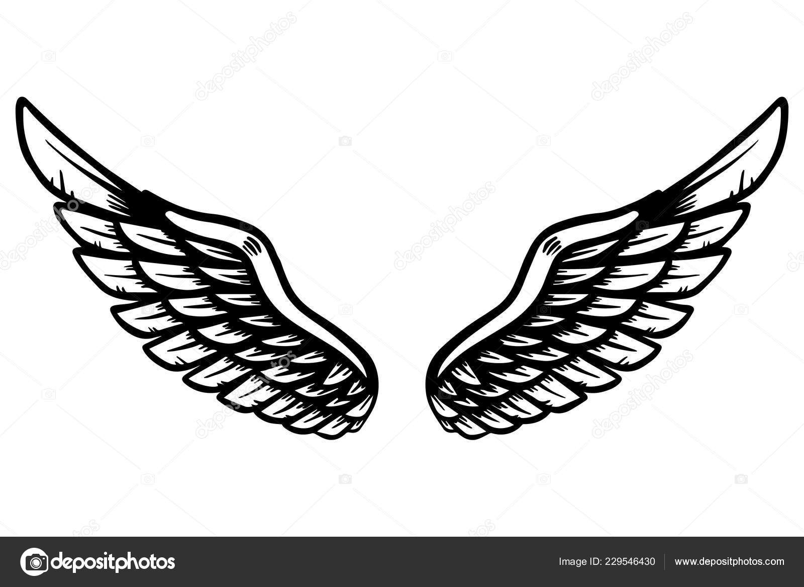 Eagle Wings Vector