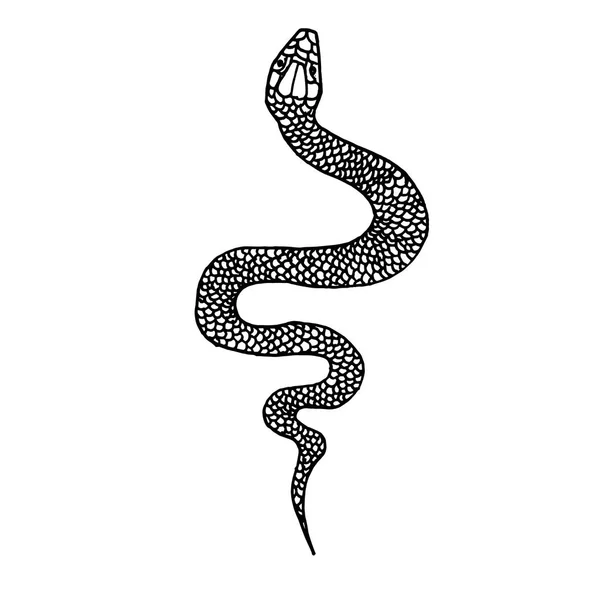 Snake Illustration Isolated White Background Design Element Poster ...